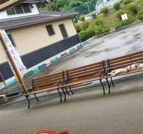 五桂池ふるさと村 直売所ねっと