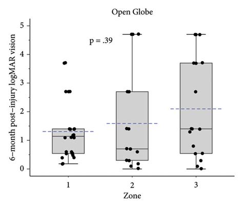 Six Month Post Injury And Final Post Injury Evaluation Logmar Vision By
