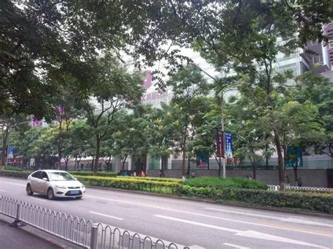 祝賀！2018中國「百強區」發佈，雲南這2個區上榜！ 每日頭條