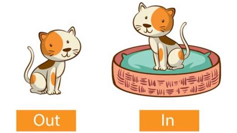 Teaching Opposites In Kindergarten A Simple Guide