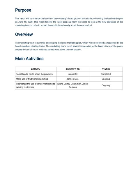 Ceo Report To Board Of Directors Template