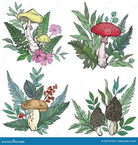 Set Of Different Types Of Mushrooms Grass And Berries Ferns Stock