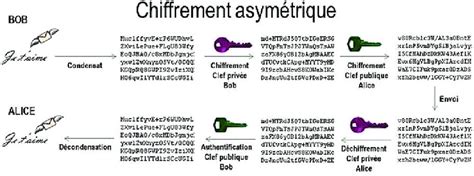 2 Le chiffrement asymétrique Download Scientific Diagram
