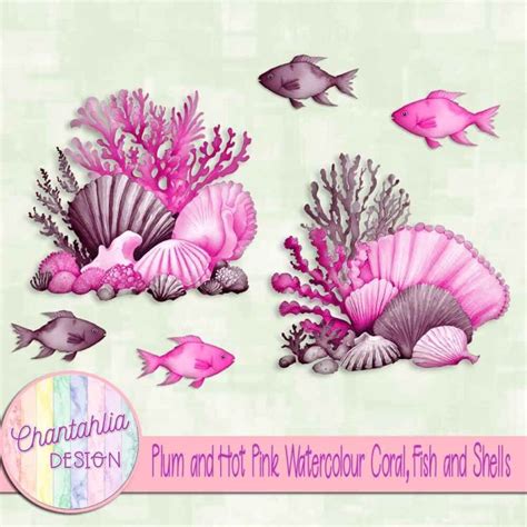 Plum And Hot Pink Coral Fish And Shells