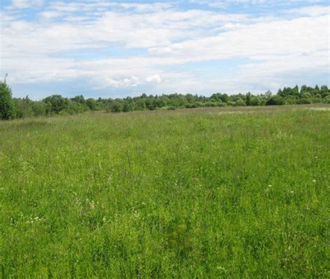 Земли под охотничьи угодья в России купить недорого на сайте продажи ...