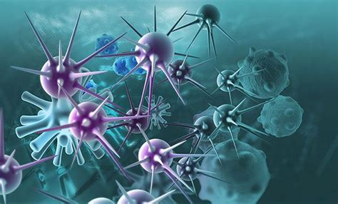 Herpes Simple Qué Es Y Sus Implicaciones Psicológicas