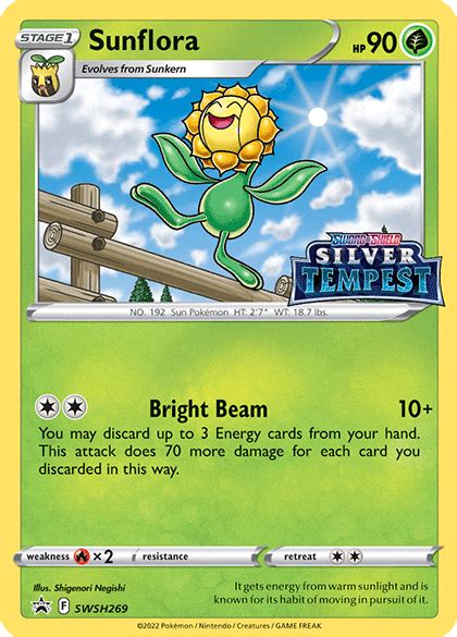 Get The Pokémon Tcg Sword And Shield—silver Tempest Build And Battle Box