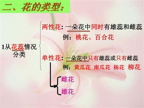 第四章 生物的类群 ppt download