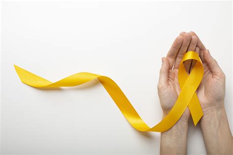 Setembro Amarelo 2024 Notícias Alfa Transportes
