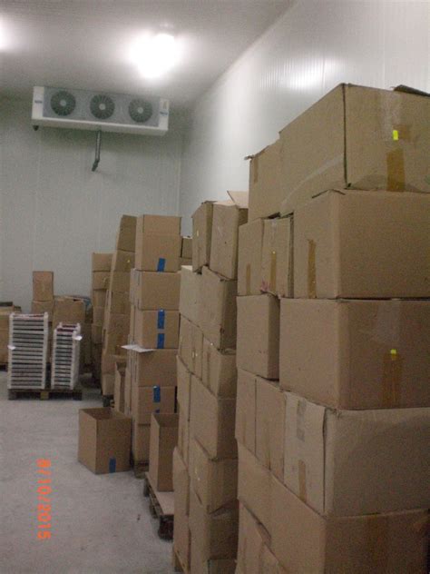 „Предприятие за замразяване преработка и съхранение на плодове ” в с Плачи дол