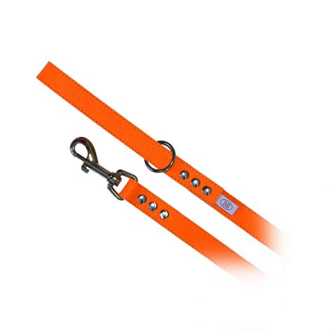 Buddy Belts All Leather Leash 1 Leash For The 1 Harness