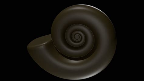 3d Ammonoid Shell Virtual Model Of Eocanites Turbosquid 2323942