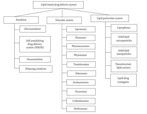 Lipid Nanoparticles And Drug Delivery BOC Sciences