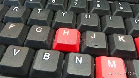 Bug On The Computer Keybord Stock Image Image Of Computing Hacker