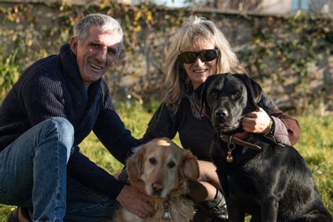 Chiens Guides Que deviennent les chiens guides retraités