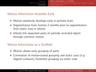 Visual Parsing After Recovery From Blindness Ppt