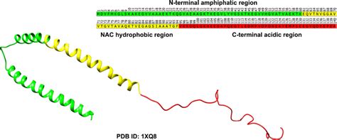 Micelle Bound α Synuclein Monomer Solved By Solution Nmr Pdb Id 1xq8 Download Scientific