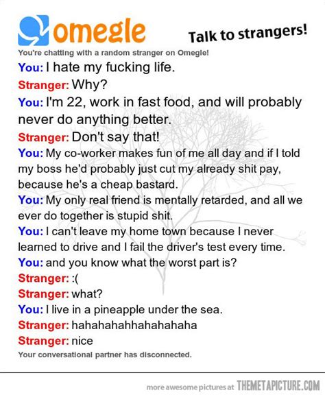 Funny Omegle Conversations