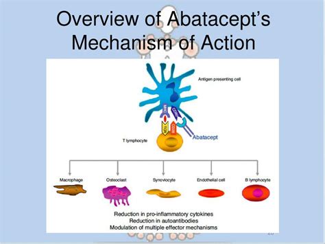 Ppt New Treatments For Rheumatoid Arthritis Powerpoint Presentation