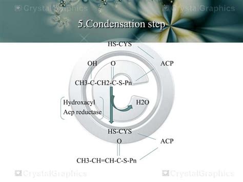 Multi Enzyme Complex Pptx Chemistry Science