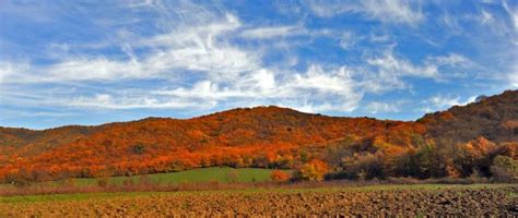 ბაწარის ნაკრძალი