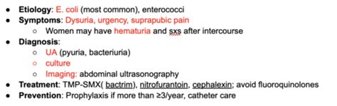 Nephro Flashcards Quizlet