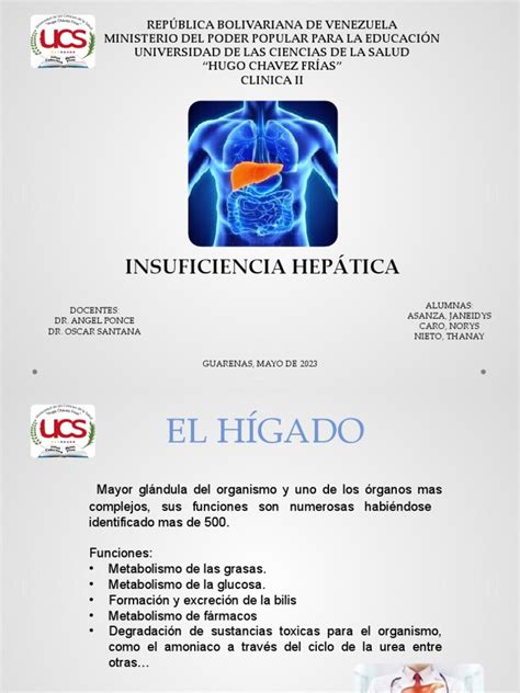 Insuficiencia Hepatica Pdf Hepatitis Hepatitis B