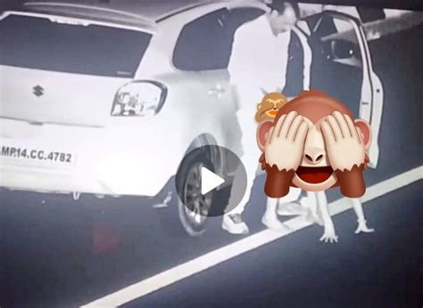 Manohar Lal Dhakad Bail Bjp Leader Claims Innocence In Viral Sex Video