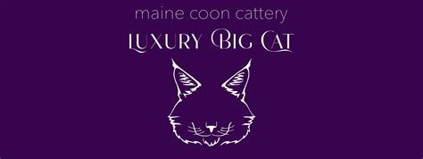 Біла швейцарська вівчарка Kennel Star Basan House Daimon Sky Shadow 7мес Краматорск