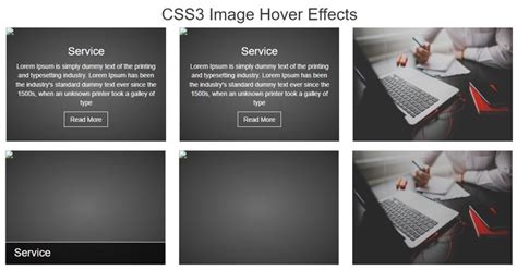 Best Bootstrap Image Hover Effects Webtopic