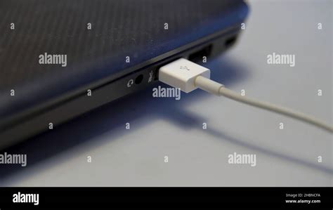 Hand Inserting White Usb Cable Into Laptop Isolated On White Background Close Up Of Connecting