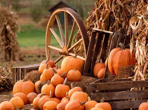 Rustic Fall Wallpapers Top Free Rustic Fall Backgrounds Wallpaperaccess