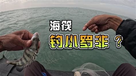 开了半小时的航程，去钓小罗非了。 Youtube