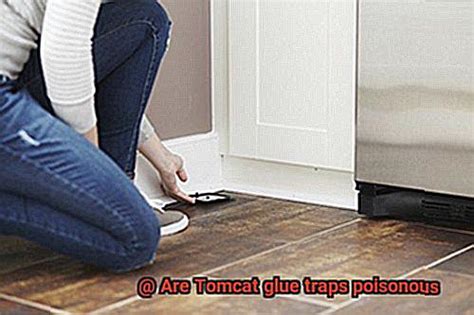 Are Tomcat Glue Traps Poisonous Glue Things