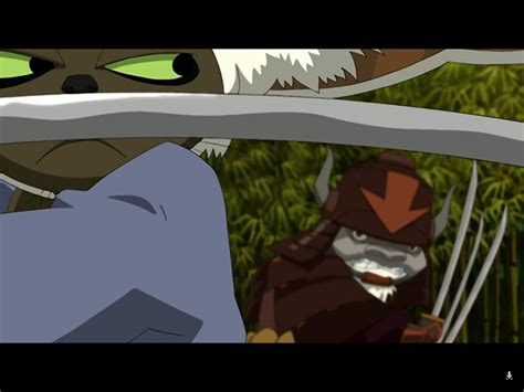 Appa And Momo Wallpapers Top Free Appa And Momo Backgrounds