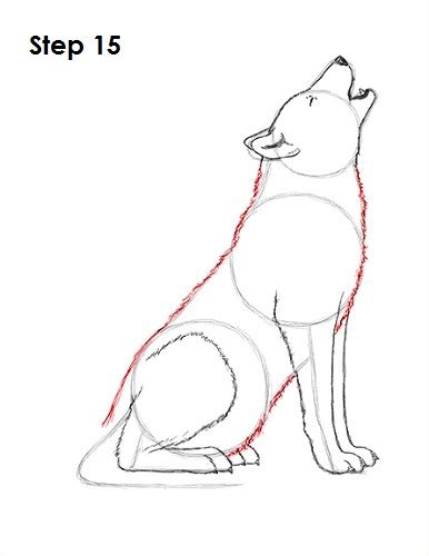 How To Draw A Wolf Howling