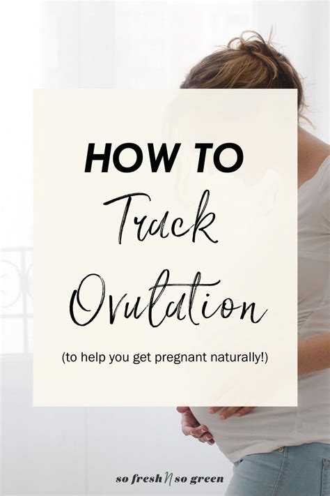 How To Optimize Ovulation Boost Fertility Increase Your Odds Of Getting