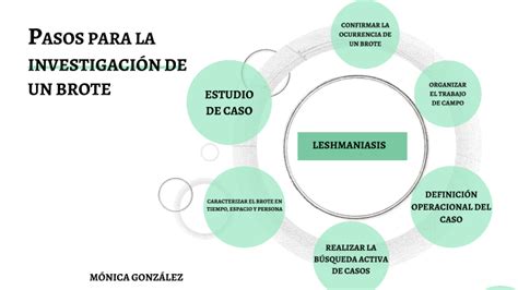Pasos Para La InvestigaciÓn De Un Brote By Mónica González On Prezi