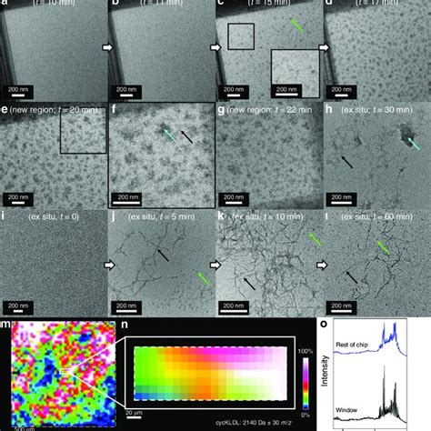 Liquid Cell Transmission Electron Microscopy Lctem Experimental Download Scientific Diagram