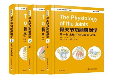 骨关节功能解剖学原书第7版全3册 PDF电子版下载小燕分享站