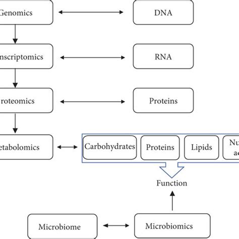 The Relationship Between Genomics Transcriptomics Proteomics Download Scientific Diagram