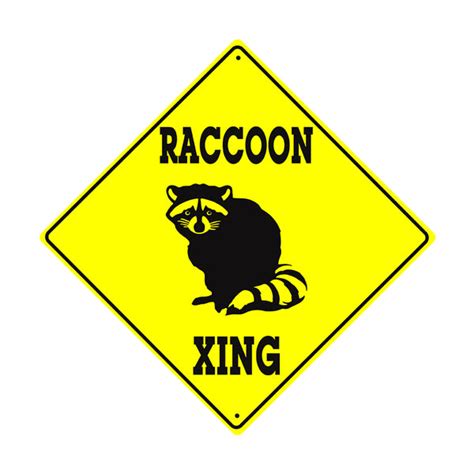 Caution Raccoon Crossing Diamond Sign Sign Fever
