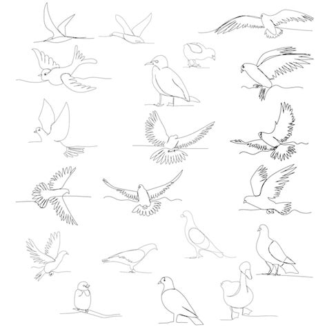 Premium Vector White Background Continuous Line Drawing Bird Set