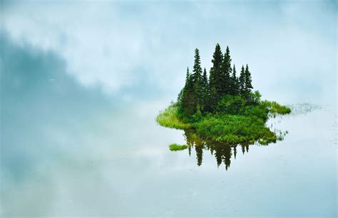 Papel de parede luz solar Árvores agua natureza reflexão grama céu nuvens ramo verde