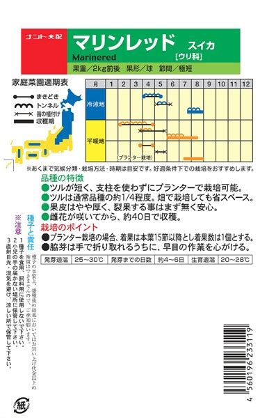 短節間紅小玉スイカ 種 ベランダdeスイカ品種名マリンレッド ナント種苗 100粒 たね 果菜の種 スイカ 小玉スイカ 種兵