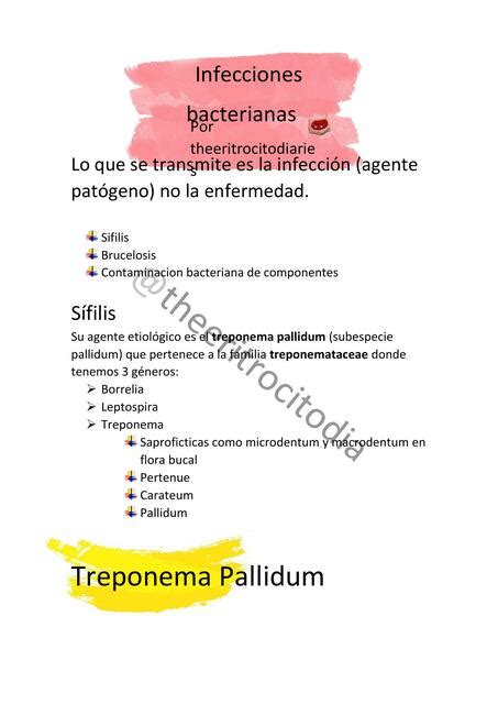 Seminario 6 Bacterias Theeritrocitodiaries Udocz