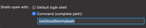 macOS Catalina 10 15 베타 bash profile이 내 셸에서 제공되지 않는 이유는 무엇입니까