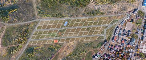 სუბურბან ლისი