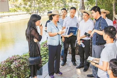 率先编制负面排水行为清单 盐田治水提质工作按下“加速键”盐田网