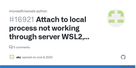 Attach To Local Process Not Working Through Server Wsl2 And No Log Files Are Generated · Issue